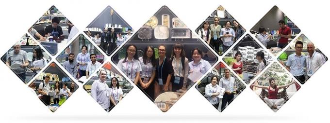 Black 260cc 100% A5 Melamine Cups Mugs Go With Ramen Bowl